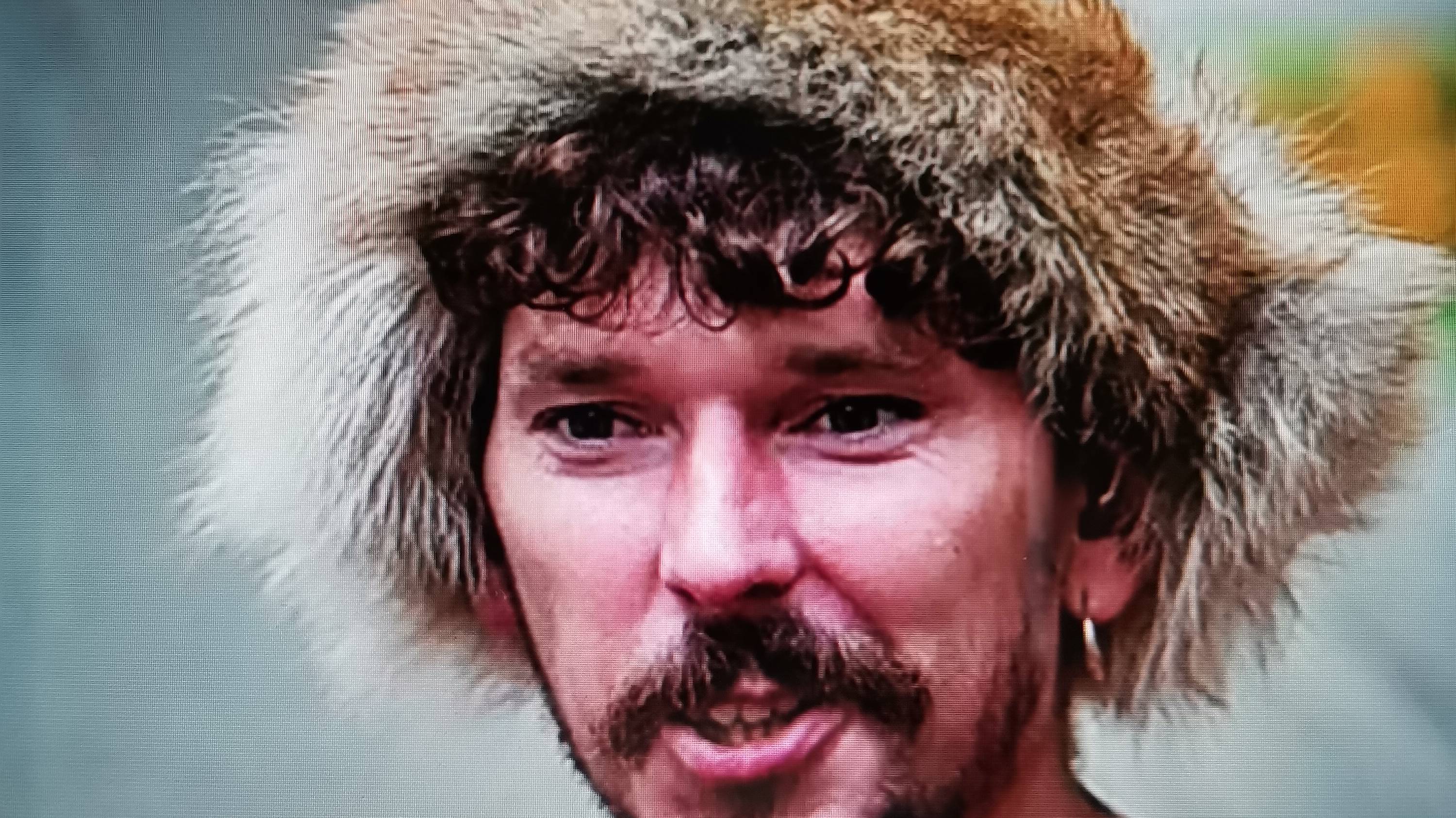 Чубчик кучерявый