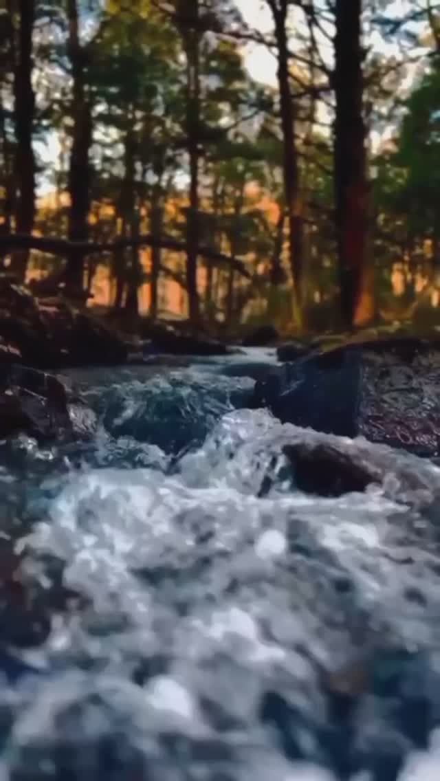 СЛОВО ОБОДРЕНИЯ.