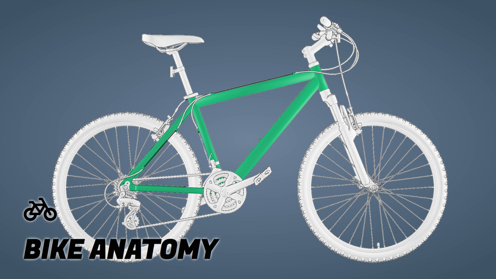 Анатомия байков — интерактивный 3Д-инструмент для изучения механики велосипеда