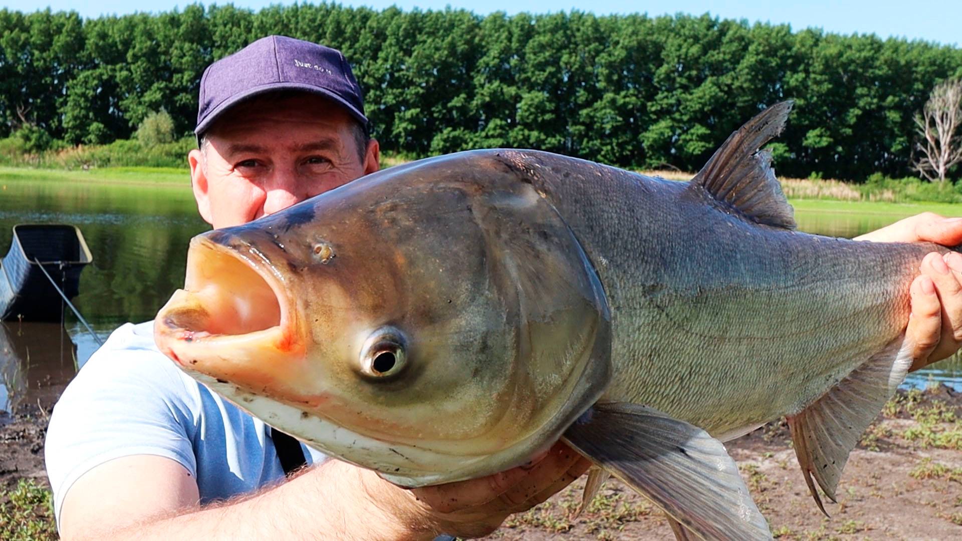 Толстолобик плескался и отказывался клевать!