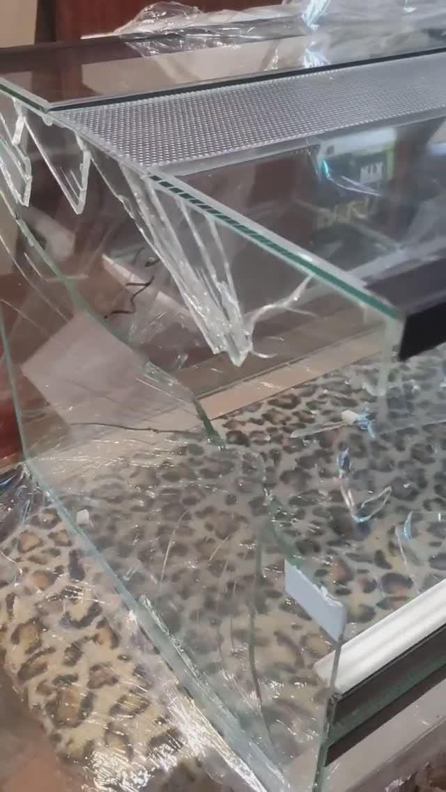 Как нужно ремонтировать аквариумы?