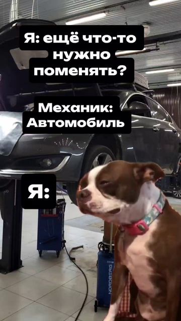 Что-то в глаз попало