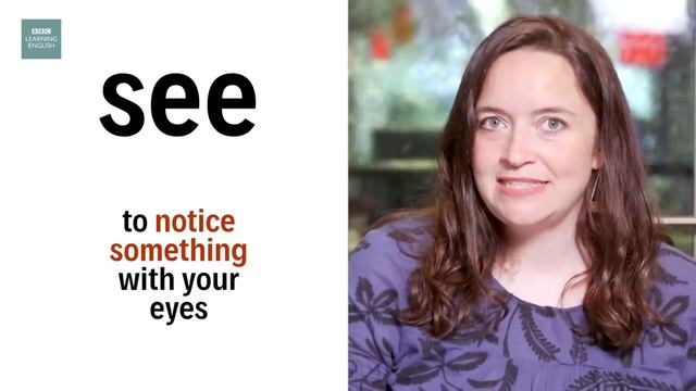 See vs Watch vs Look - English in a Minute