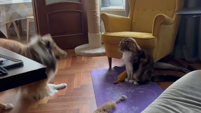 Хуру приглашает играть