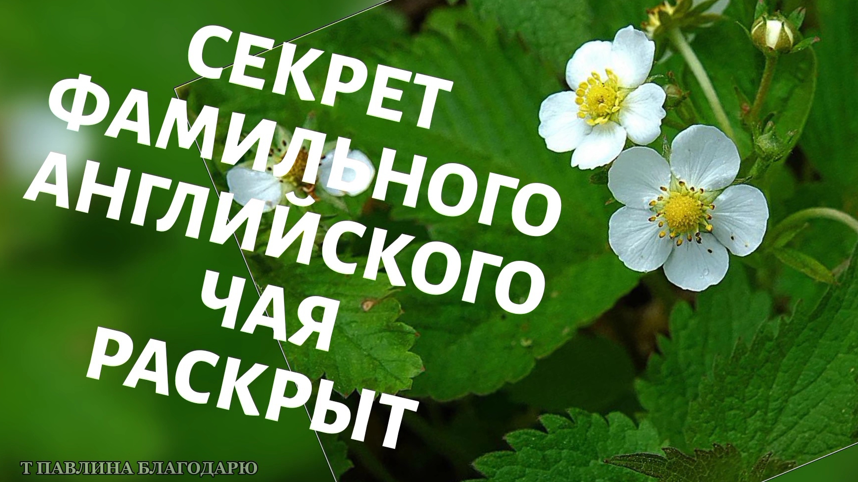 СЕКРЕТ ФАМИЛЬНОГО АНГЛИЙСКОГО ЧАЯ РАСКРЫТ.