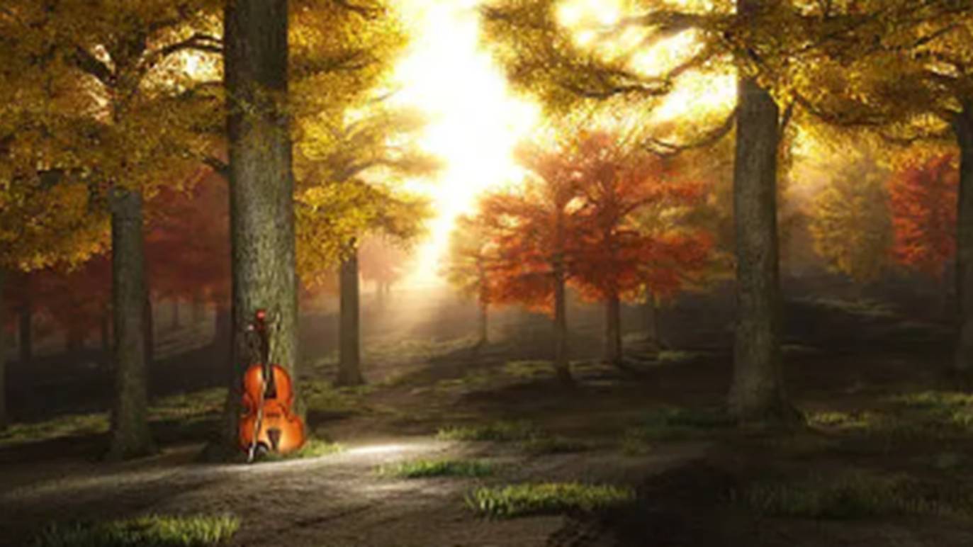 Шопен - слушать ноктюрны, этюды и созерцать лес для релаксации, отдыха или быстрого засыпания, сна