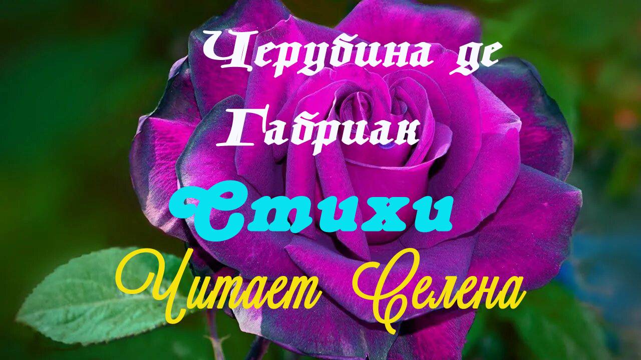 Черубина де Габриак - Стихи. Читает Селена