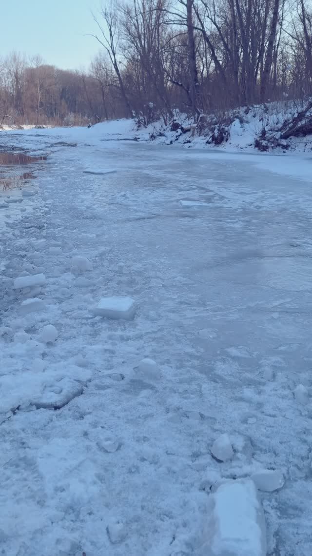 Псекупс. Март 2025.