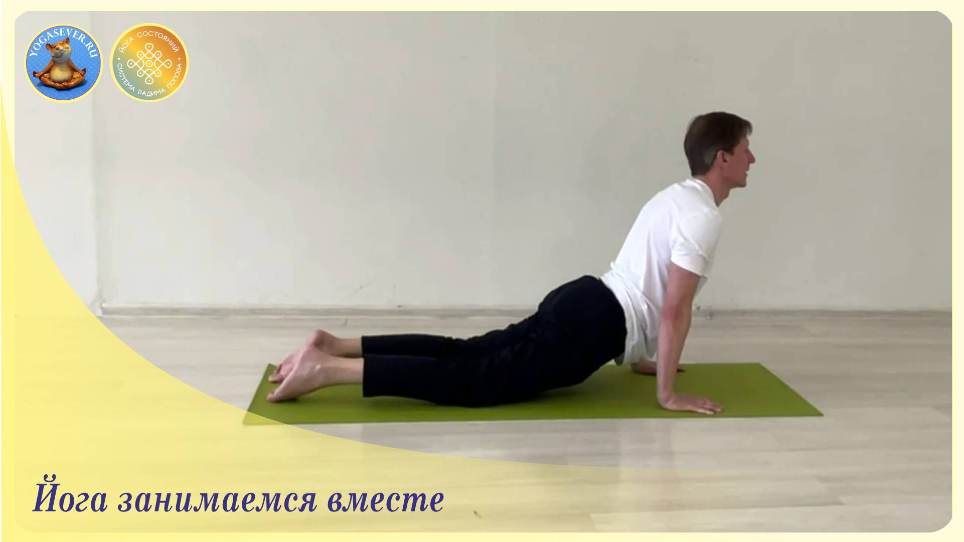 Изучаем волновое движение позвоночником