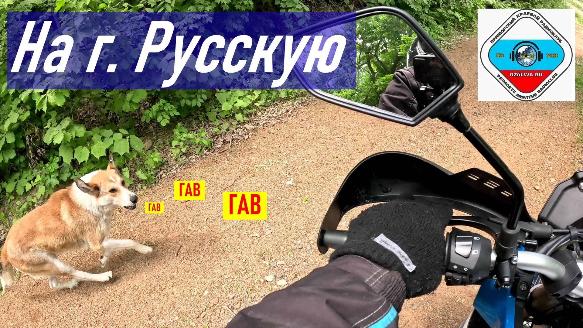 VOGE 300 RALLY / Еду с дочкой на г. Русскую через п Шигино / Радиосвязь 145,5 МГц / Убегаем от собак