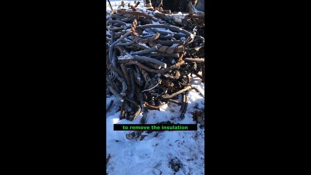 Plantas de pirólisis FORTAN | Transformación de la madera