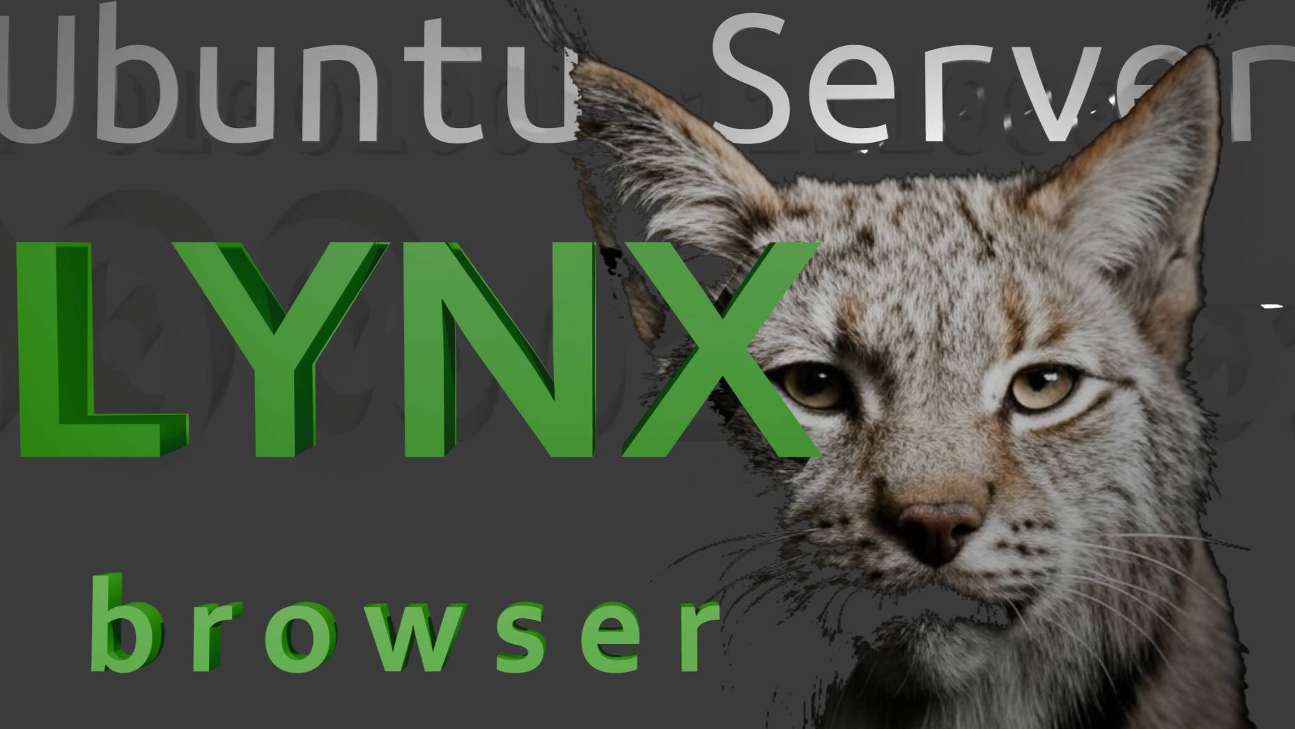 Lуnx браузер