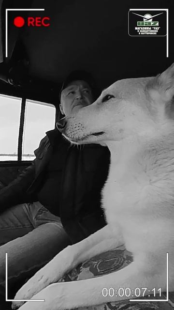 ШОРТС_ЕЗДА_и верный друг