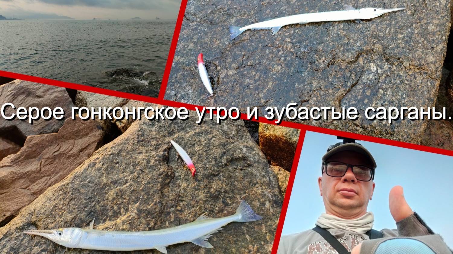 Серое гонконгское утро и зубастые сарганы. Выпуск 4.
