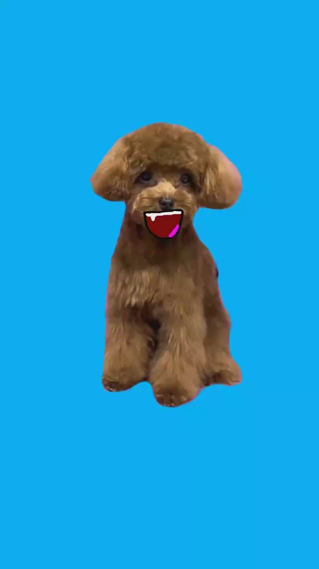 Недели котёнок Shorts (25)