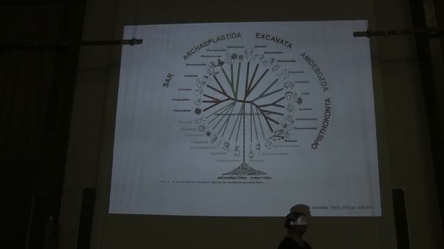 Биосистематика