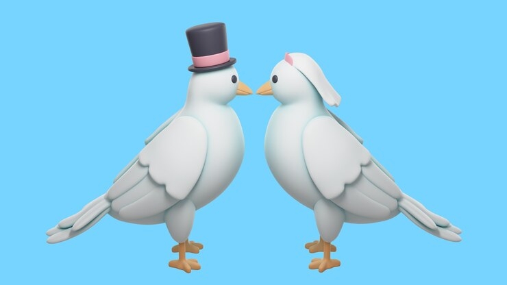 Голуби купаются под дождём