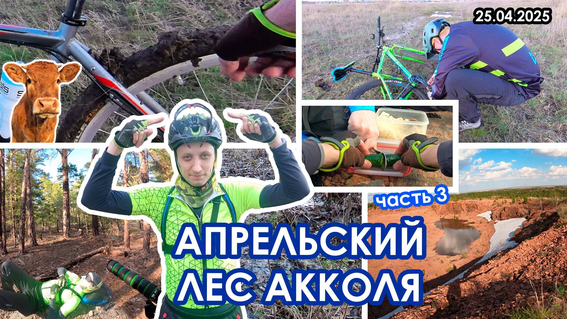 Апрельский лес Акколя (бывш. Алексеевки) (часть 3)