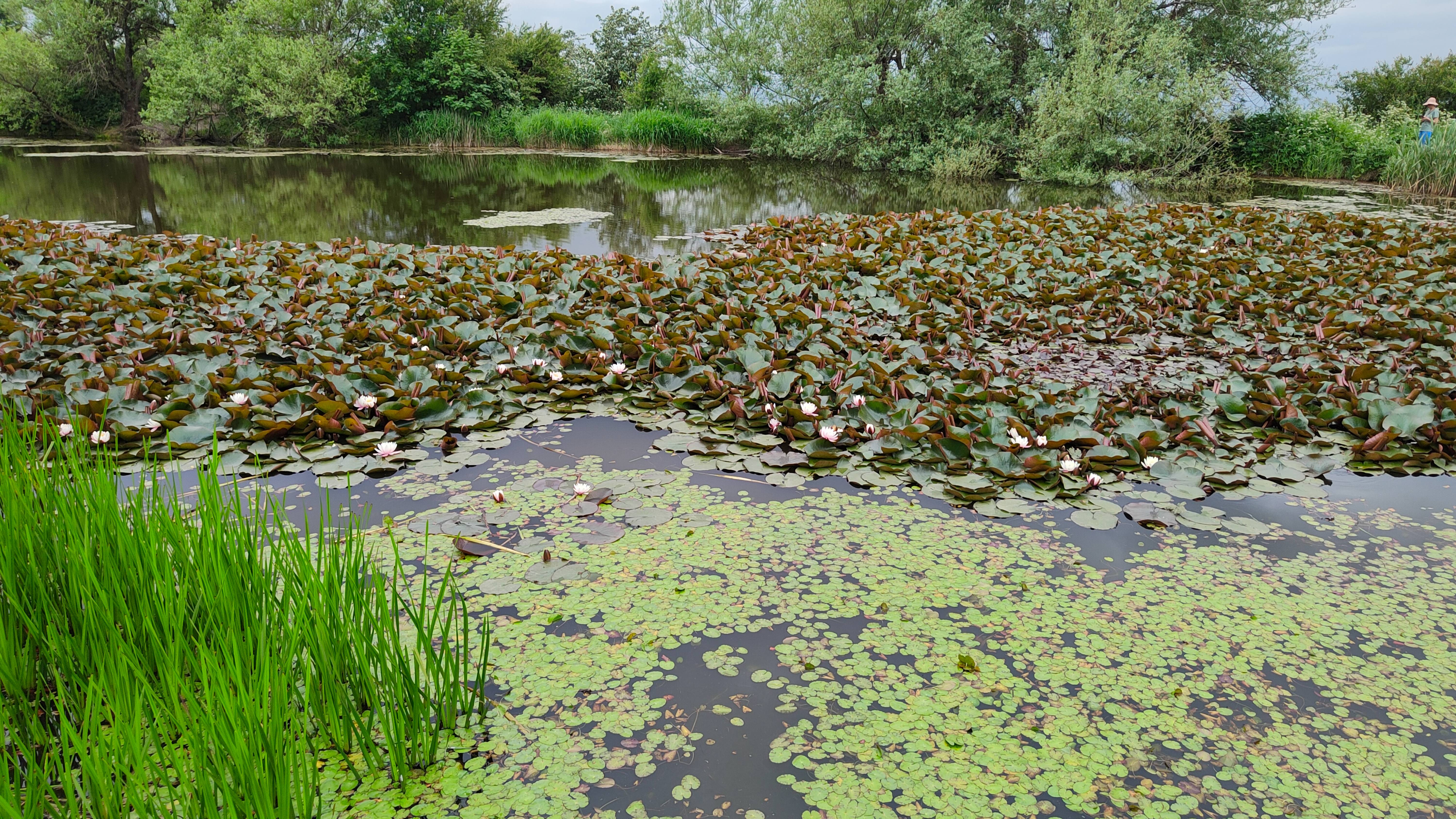 Монастырское озеро на горе Бештау, хотели ещё посетить монастырь, но началась гроза 31.05.2025 г.