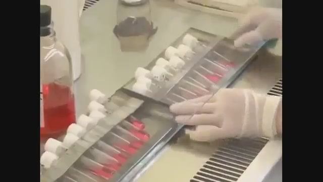 Фрагмент программы Момент истины (5 Канал, 31.10.16)