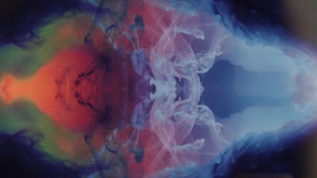 Dear Gravity & Be Still The Earth - A Memory