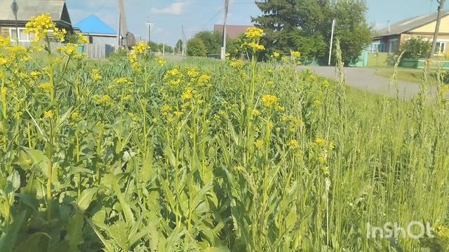 2 день лета С.Б. vlog