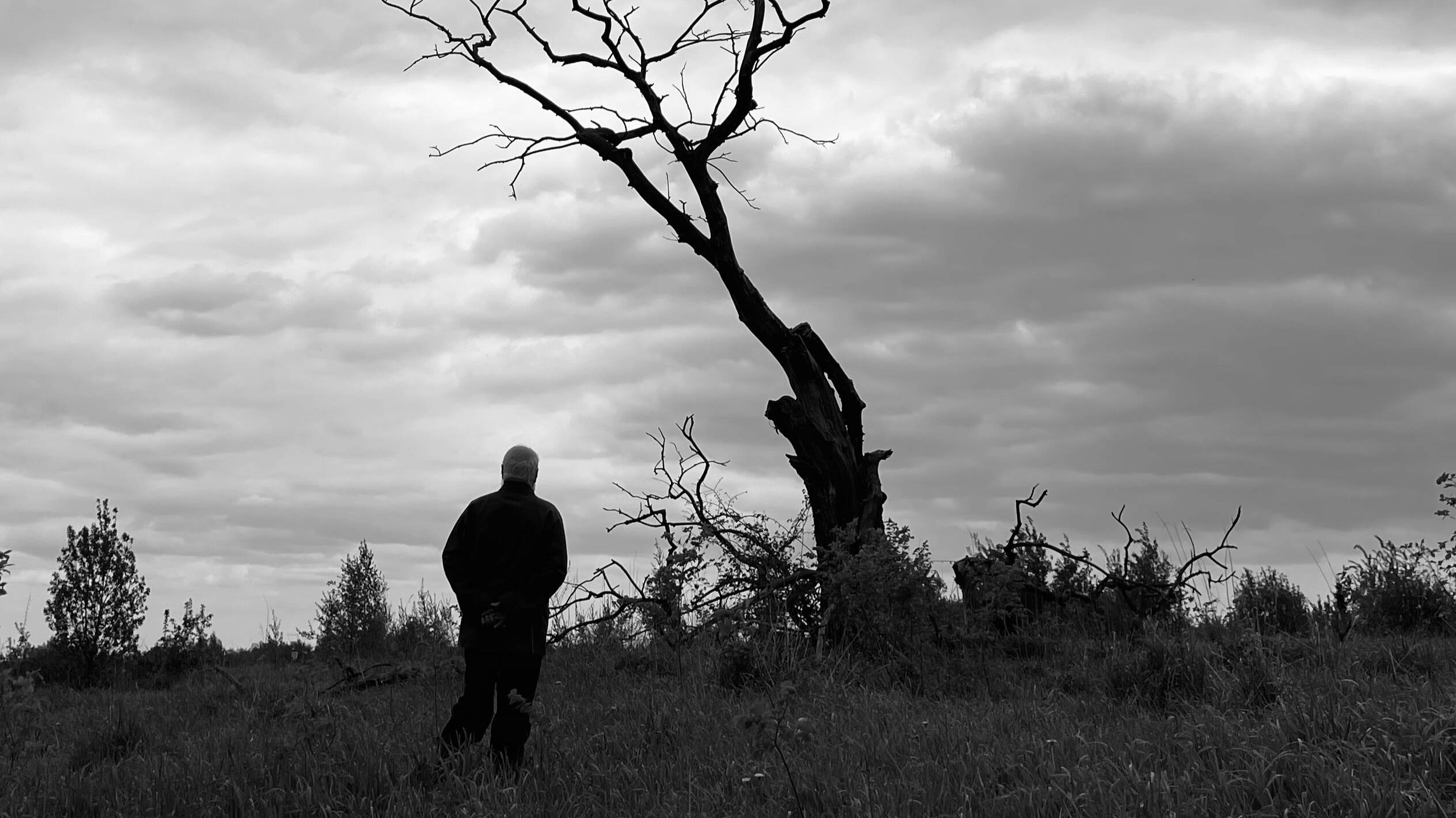 "И это снилось мне"