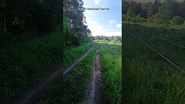 Давайте начнём с себя...не будем пакостить!)