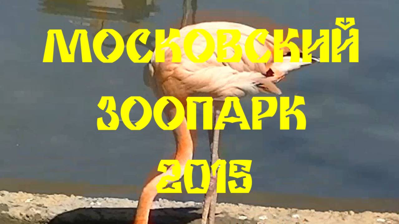 МОСКОВСКИЙ ЗООПАРК 2015