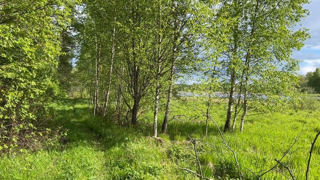 Истринское водохранилище Якунино - река Чернушка