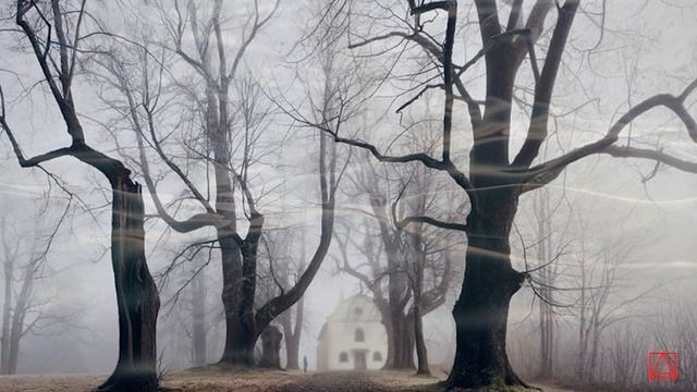 Прп. Нил Синайский ПРЕБЫВАЮЩИЕ НА БЕЗМОЛВИИ В ПУСТЫНЯХ ч10