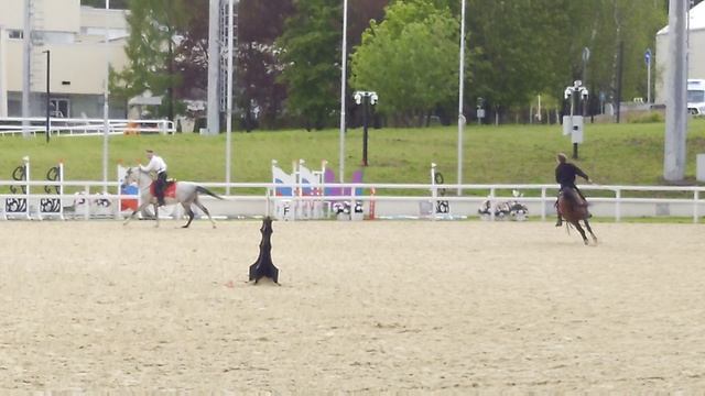 Эквирос 2025_1