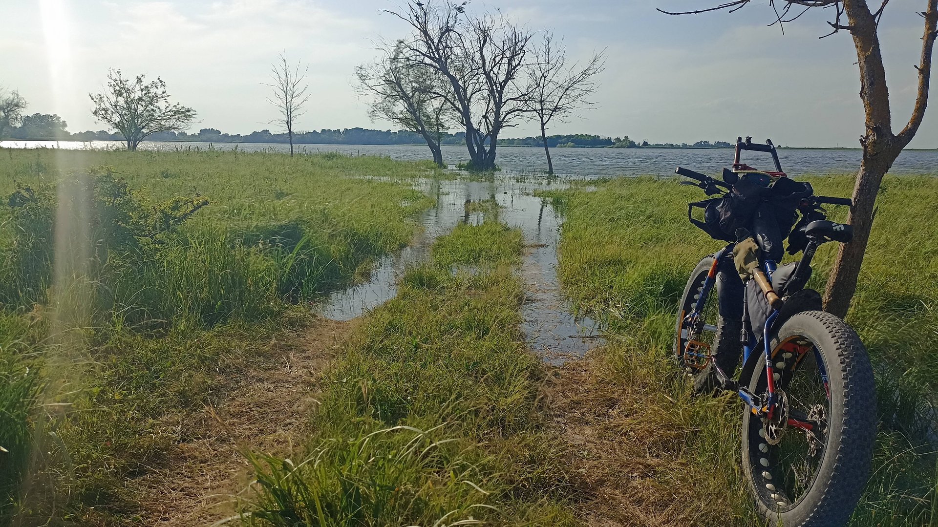 Мысли вслух!!!