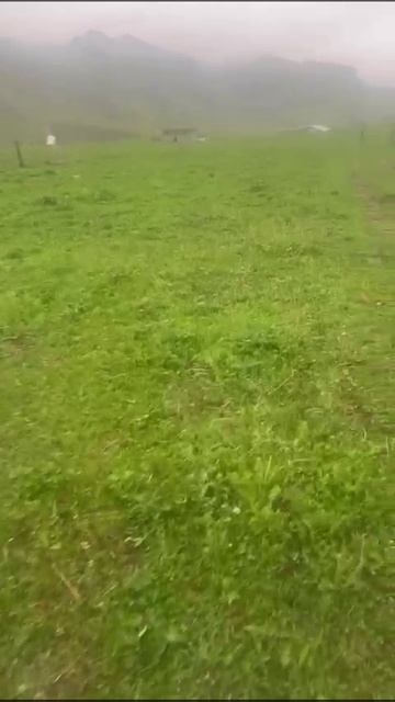 Туманное утро