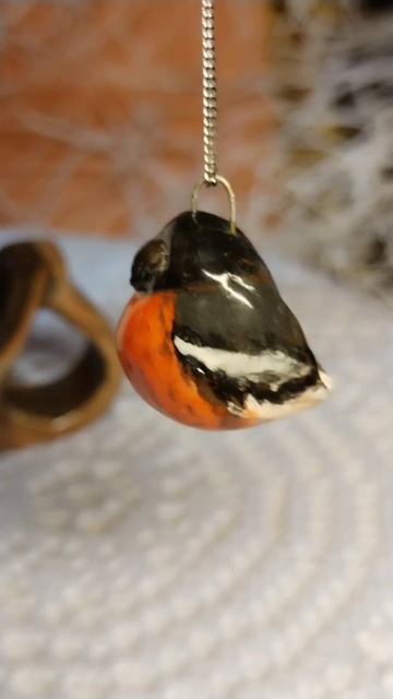 Снегирь. Брауни Блэк