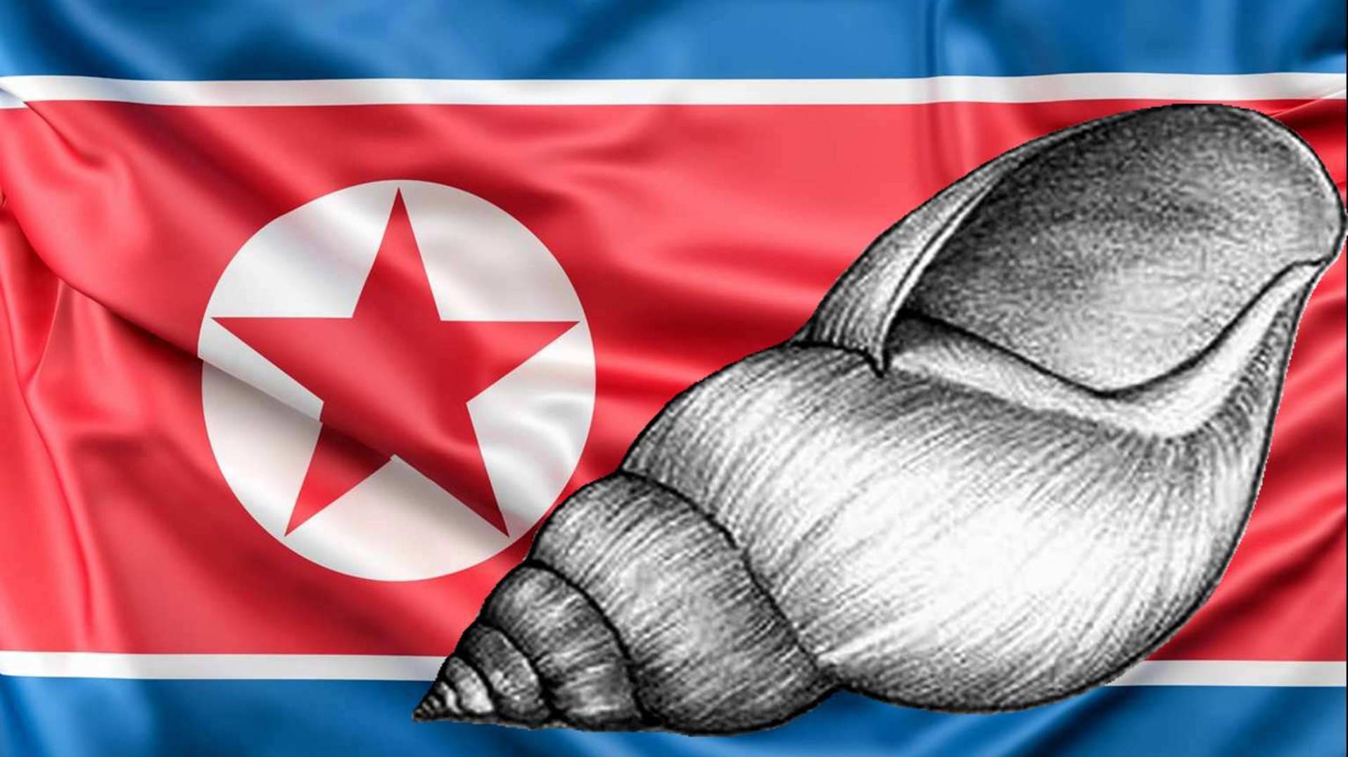 Динамичная КНДР. Поездка от горного отеля к морскому курорту. Пляжный отдых и купания. День 4