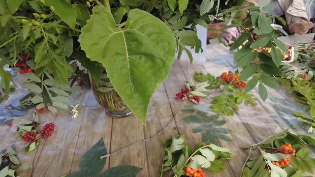 «День рождения Озёрного парка Картопья»