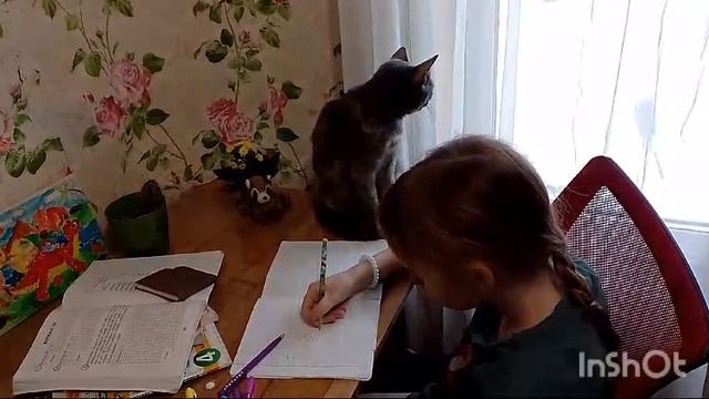 Малухина Ева, 10 лет