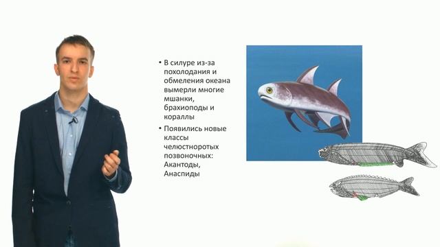 Зоология позвоночных