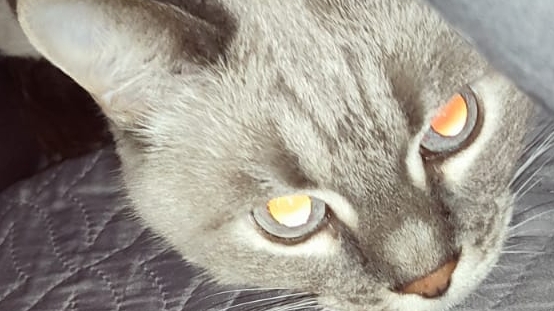 новое видео по Мертвым рельсам,наконецто