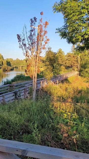 Карелия 2024. Олонец. Городской парк. Июль 2024г (Часть 4)