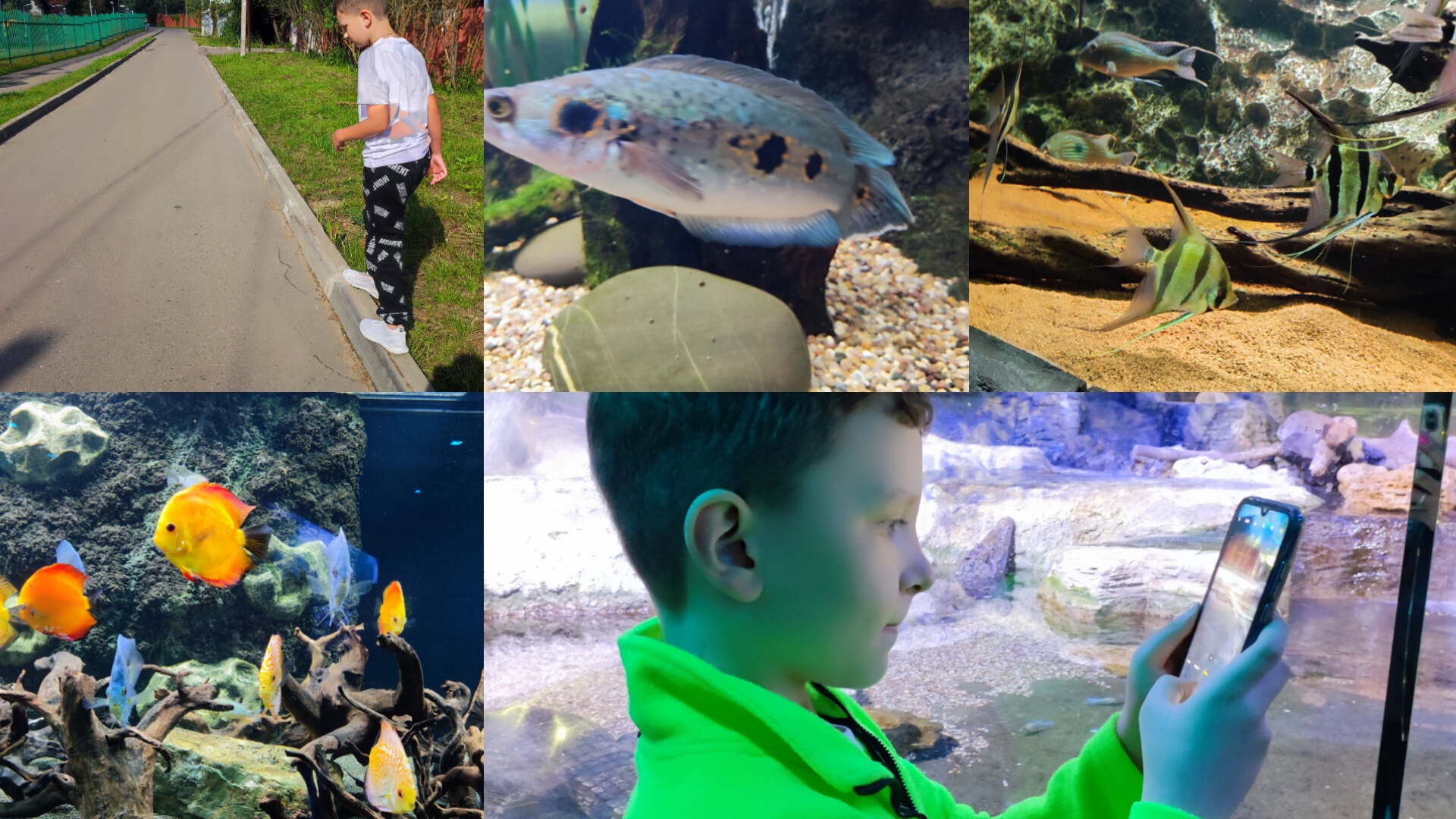 МОСКВАРИУМ КрокусСити ПОДВОДНЫЙ МИР / ОБЗОР ОКЕАНАРИУМ / МОСКВА 24