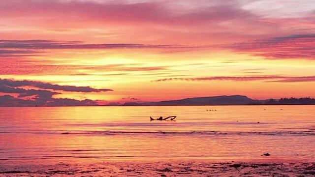 Трансерфинг реальности. Ступень I. Пространство вариантов  1