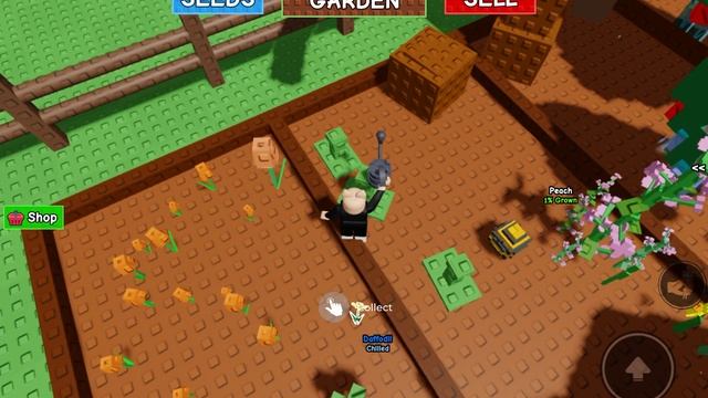 Открываю Пак в grow garden за квесты