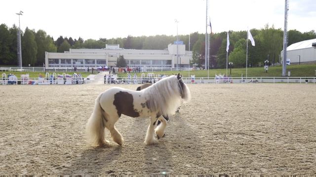 Эквирос 2025_11