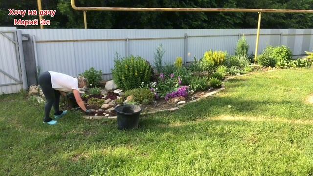 Как чувствует себя участок после ливня. Борьба с сорняками началась.