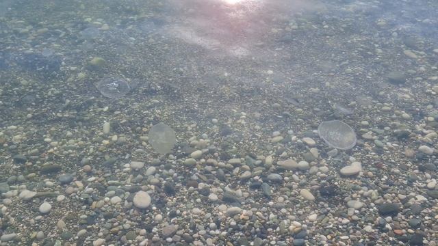 Пляж в Гагре