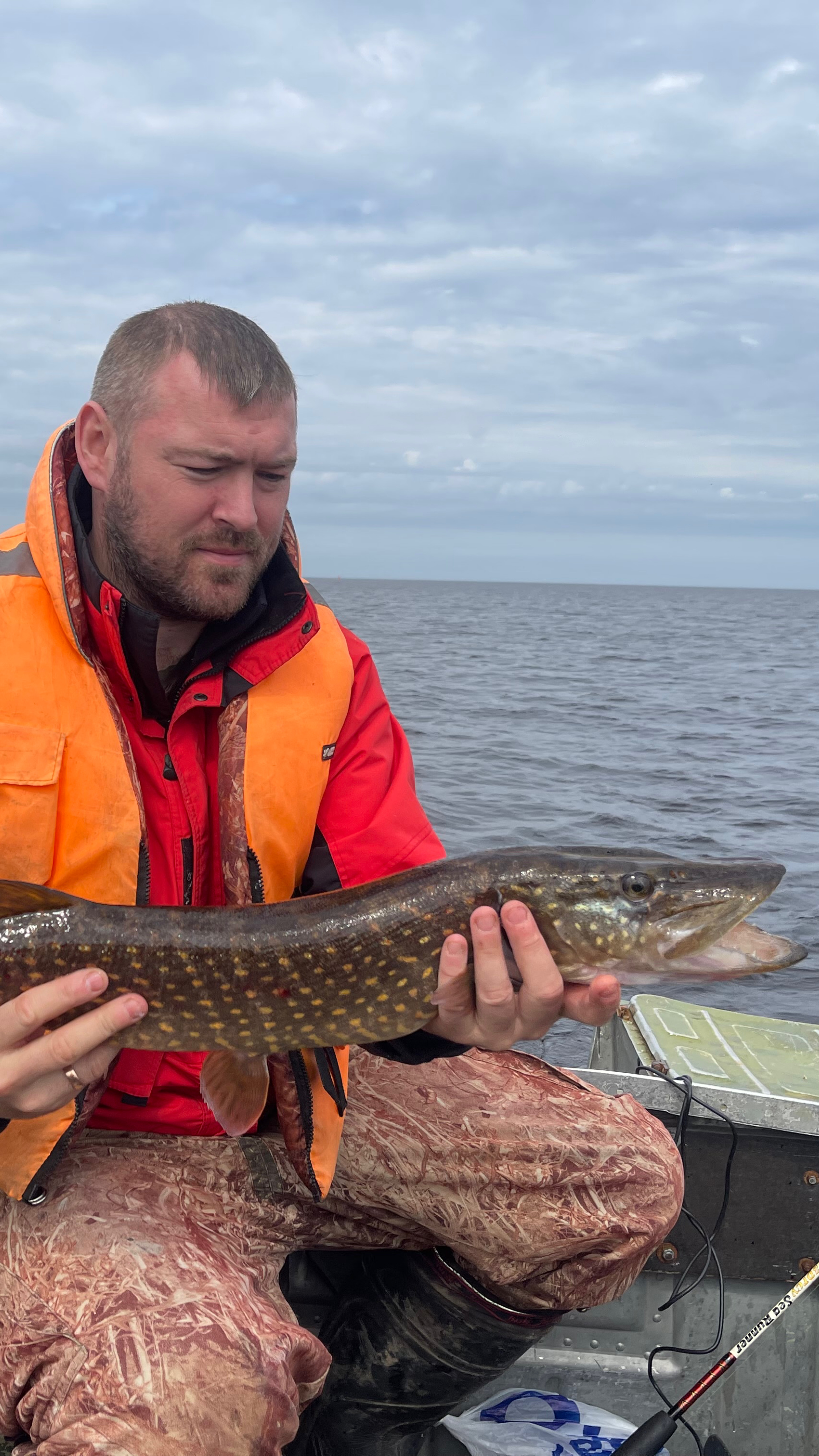 Очень резвая щука дала отличный бой рыбаку.