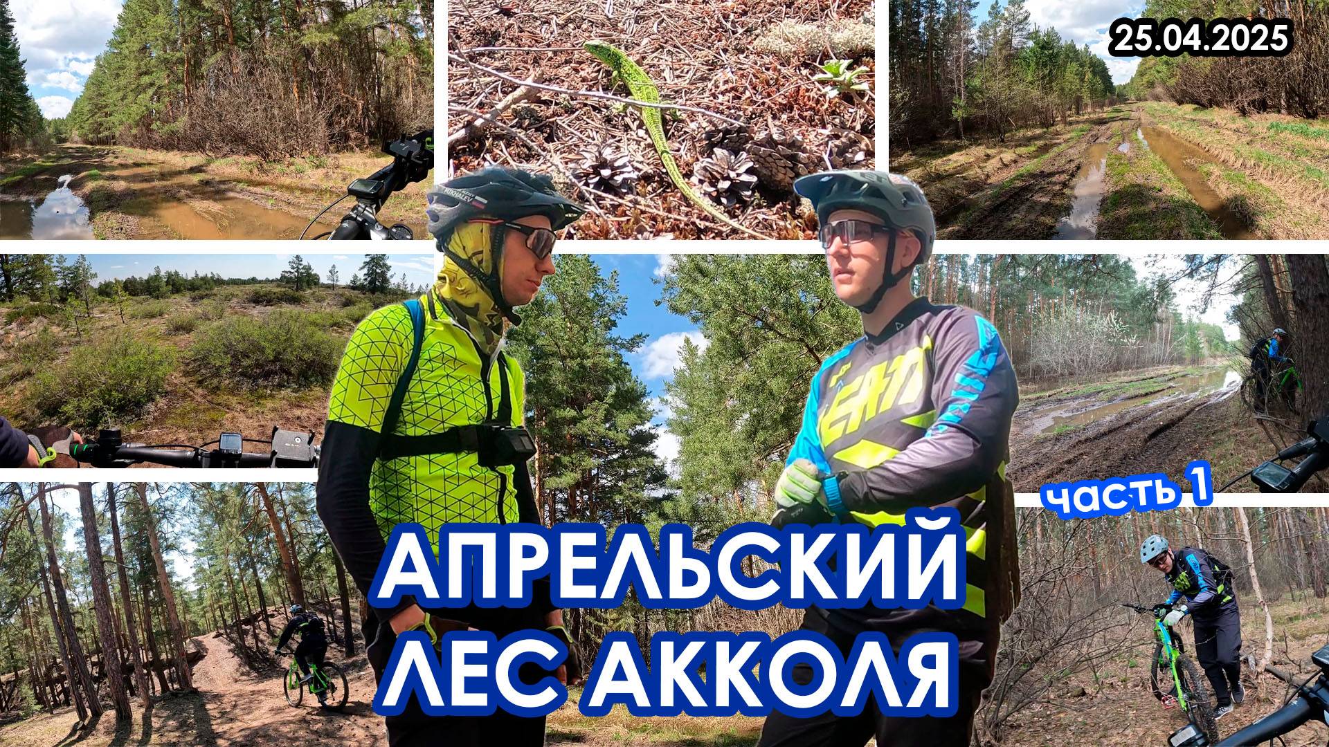 Апрельский лес Акколя (бывш. Алексеевки) (часть 1)