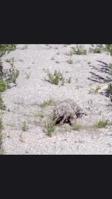 Когда случайно увидел знакомого на улице